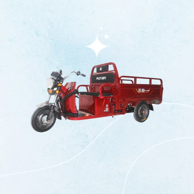 Factory Price Cargo Bike Trailer Three Wheel Dayun 200cc Tuktuk ...