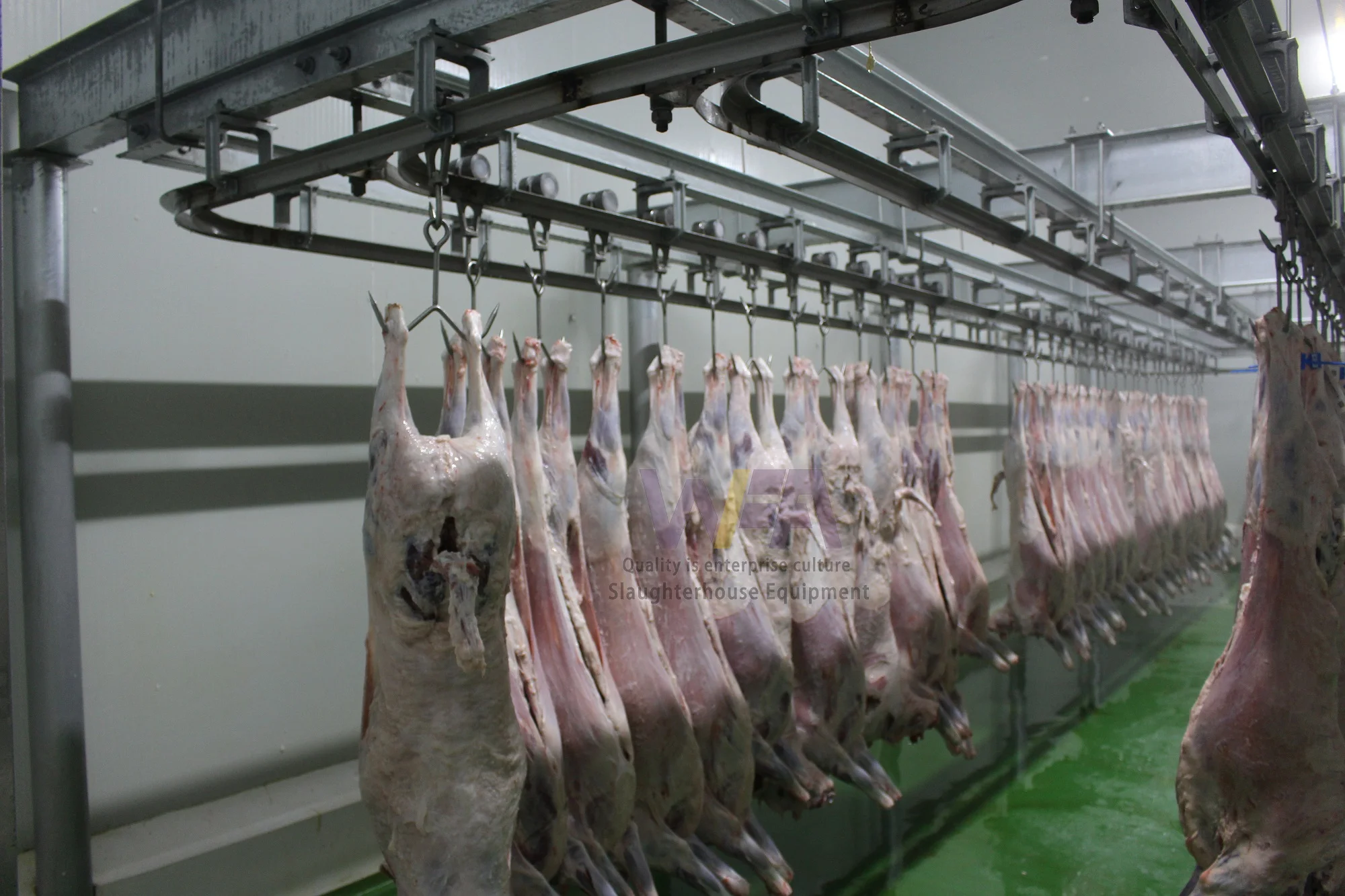 Muslim Halal Goat Slaughterhouse Equipment Carcass Processing ...