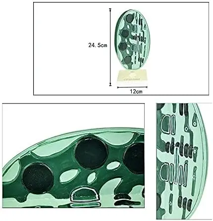 Chloroplast Structure Model Microstructure Biology Teaching Model ...