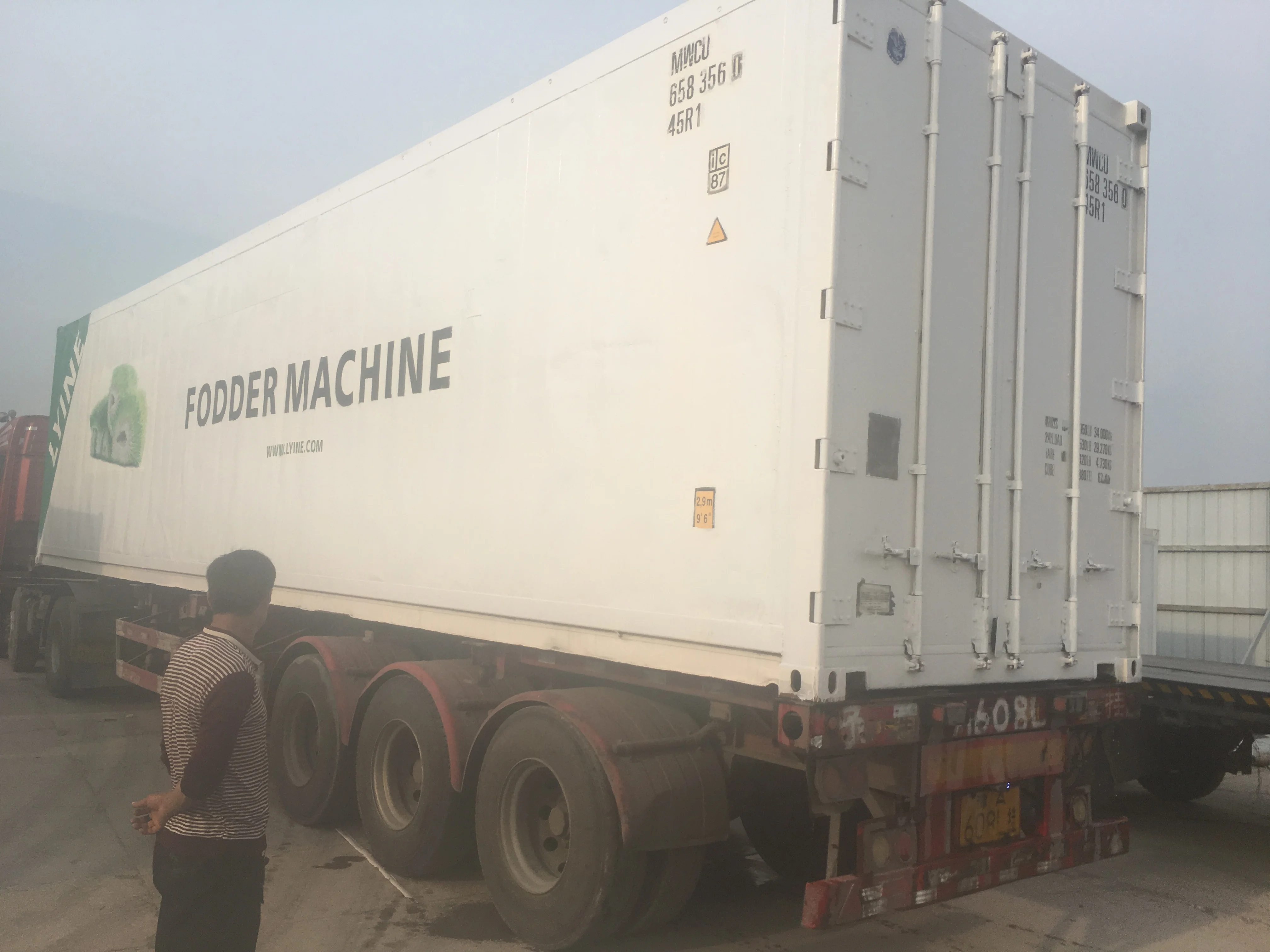 Shipping Containers Grow Strawberries Tomato Container Farm Hydroponics ...