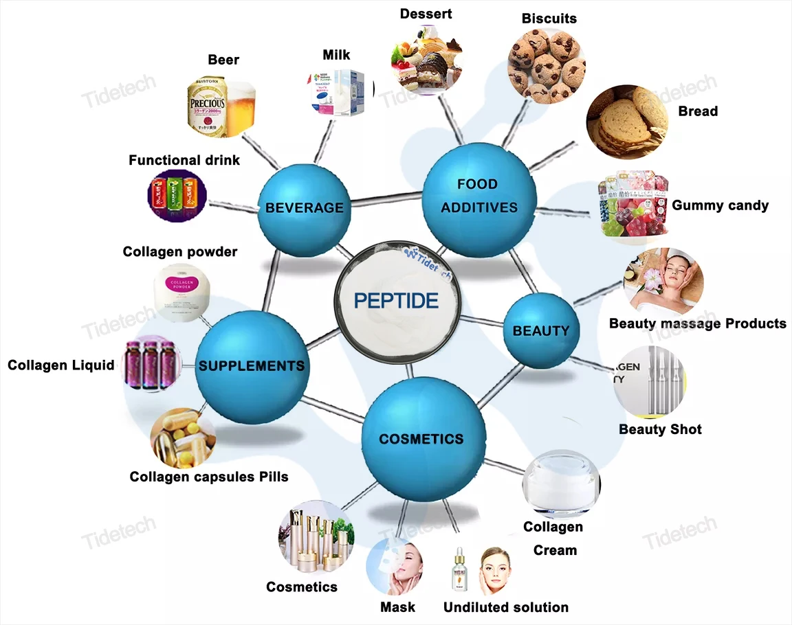 Oyster Peptide Extract Oyster Collagen Peptides - Buy Oyster Collagen ...