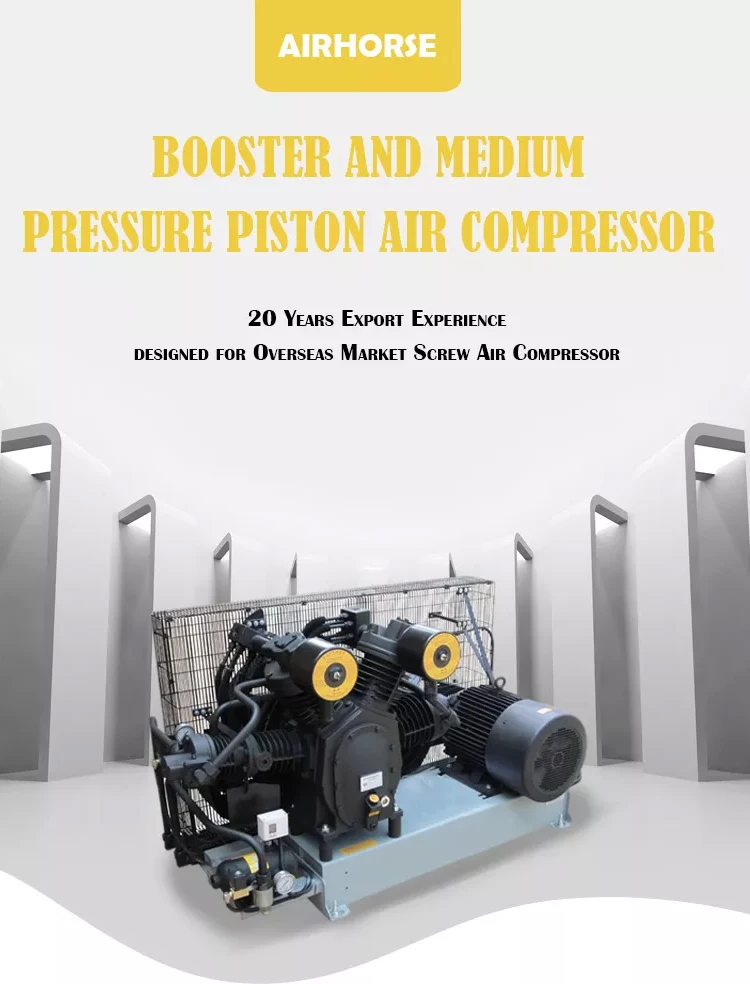 30bar Screw Piston Booster Air Compressor for Pet Bottle Blowing