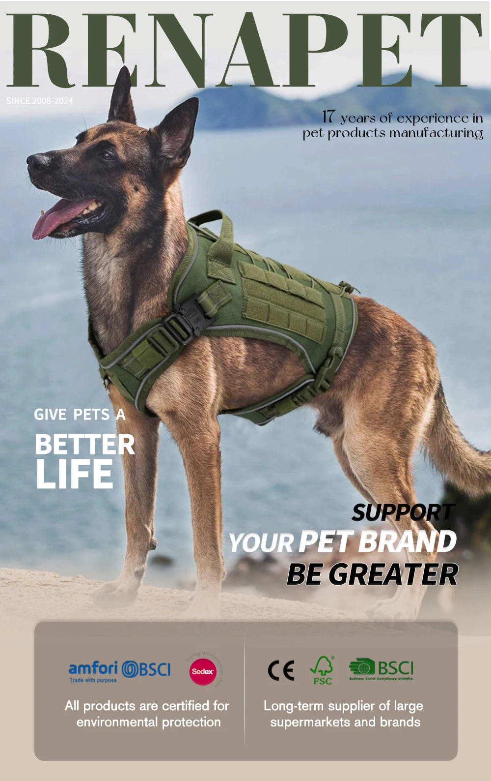 Wholesale Custom Logo Outdoor Nylon Pet Rope Leash Dog| Alibaba.com