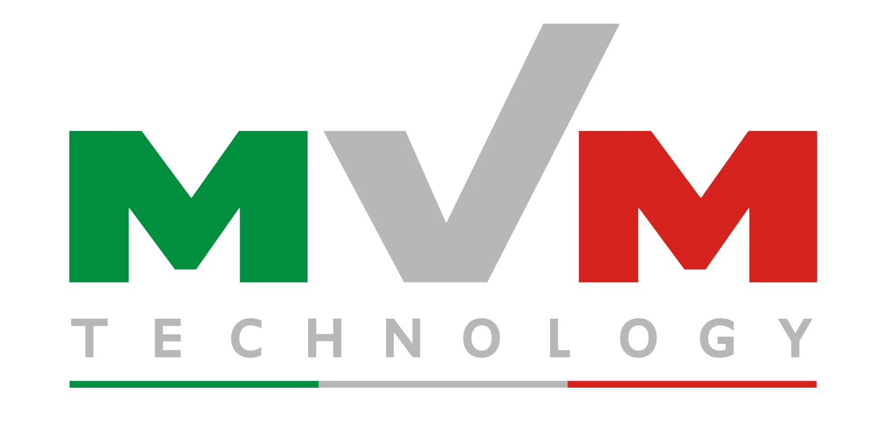 Company Overview - Wenzhou Mvm Technology Co., Ltd.