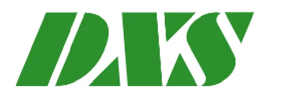 Company Overview - Shenzhen Dongxingsheng Technology Co., Ltd.