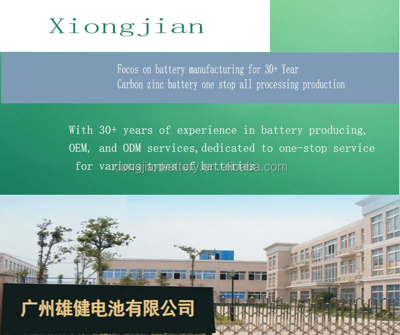 Tectron 1.5V Super Heavy Duty Zinc Carbon Dry Battery for Power Tools ...