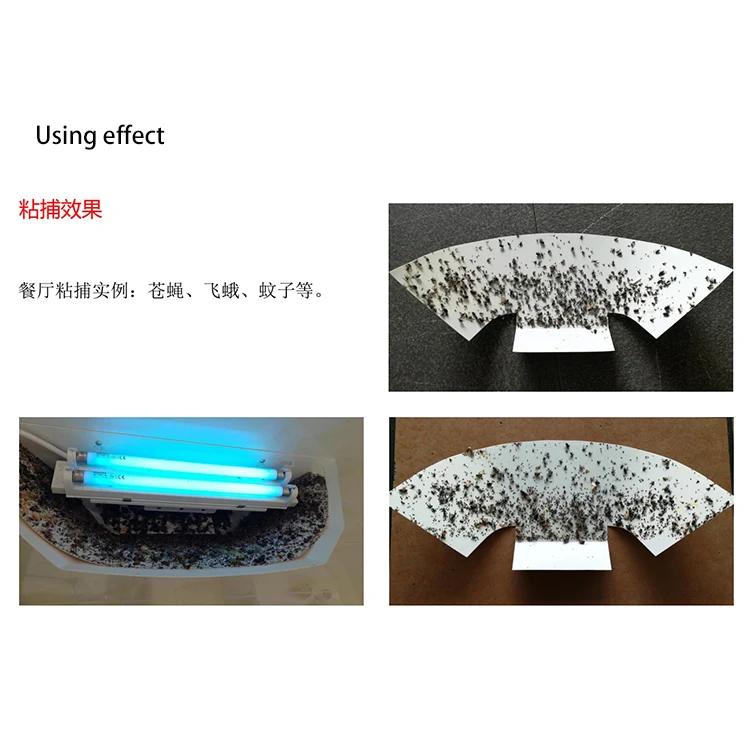 2023 Wall-mounted Electric Uv Led Fly Trap Light With Glue Boards Fruit ...