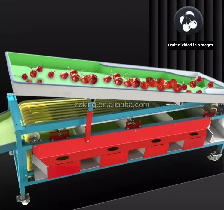 Professional Blueberry Sorter/fruit Size Sorter Machine - Buy ...