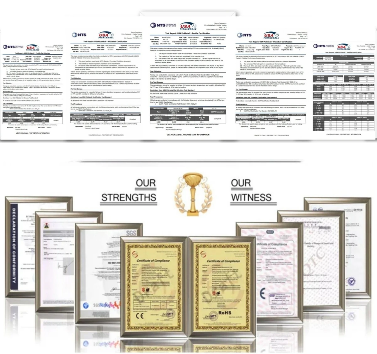 Pure-foam Boom Core GEN4.5 Pickleball Paddle - USAPA Approved