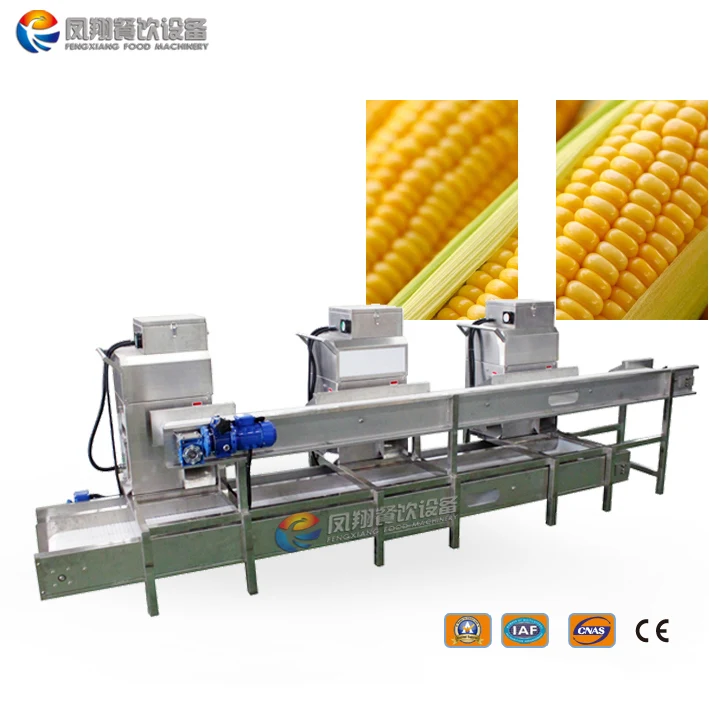 Industrial Stainless Steel Frozen Maize Sweet Corn Washing Blanching ...