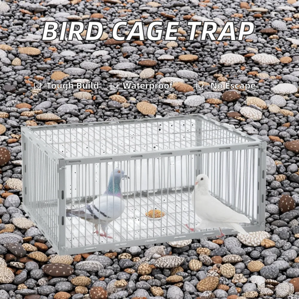Small Bird Pigeon Auto Trap Cage One-way Entry Design No Exit Small ...