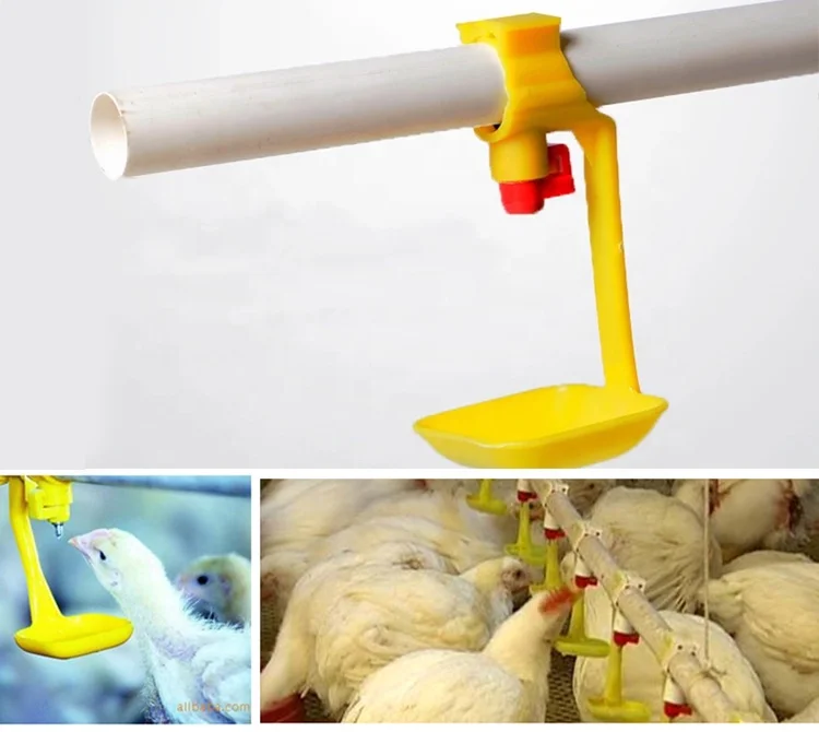 Automatic Chicken Nipple Drinkers Cup Poultry Nipple Drinker for ...