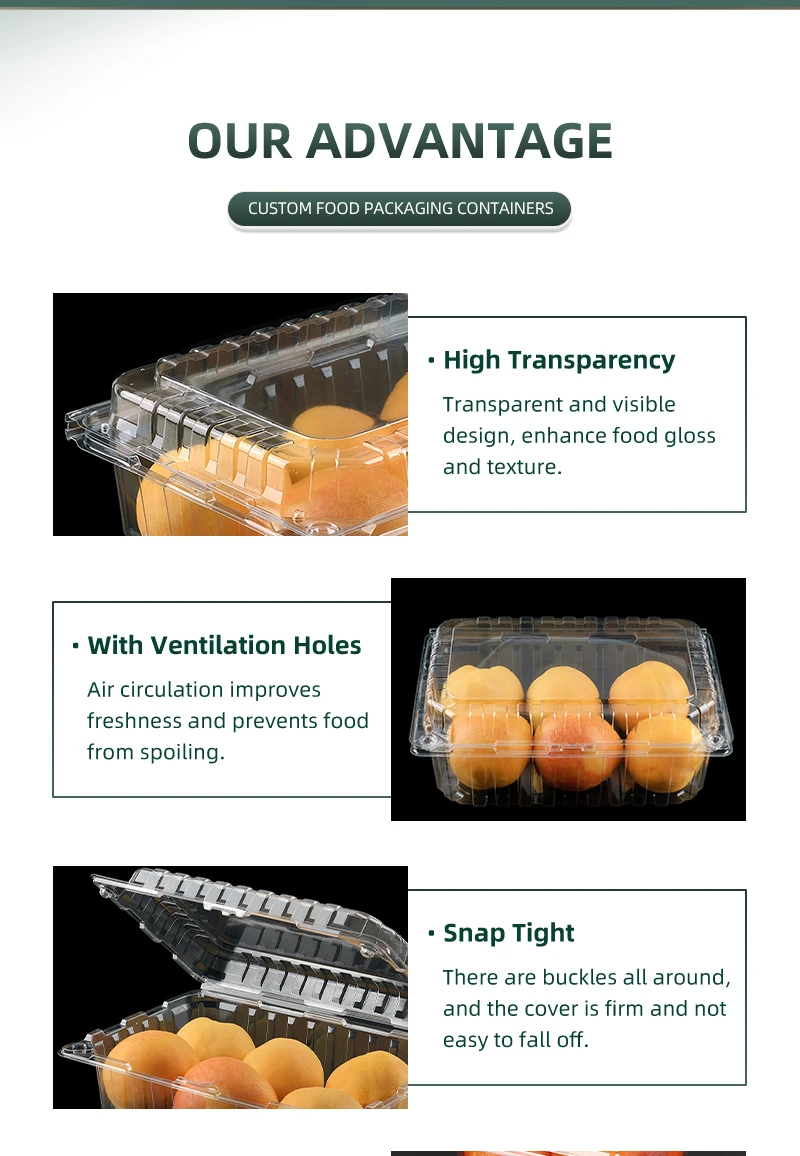 Custom Disposable Plastic Fruit Clamshell Packaging Rectangle Plastic ...
