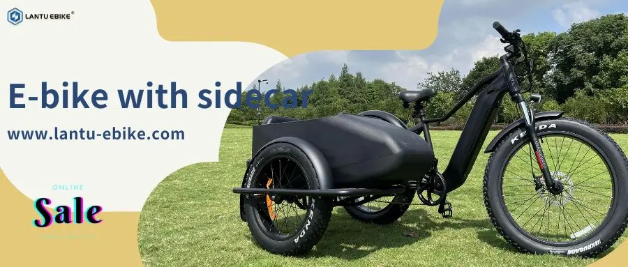 New Arrival Electric Bike With Sidecar 26 Inch Fat Tire E Bike With ...
