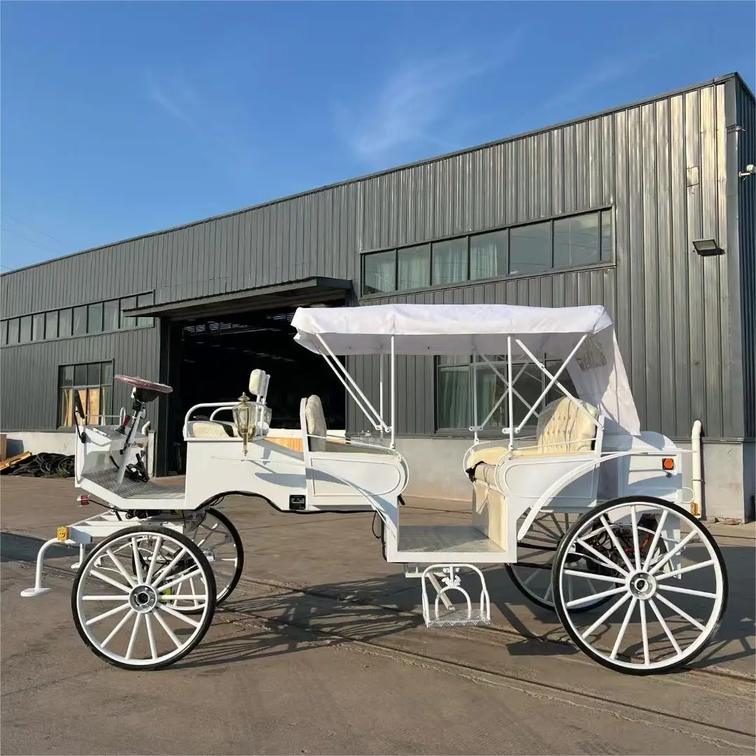 5-Seater Electric Horse Carriage with Colorful Lights 4 Wheels Closed ...