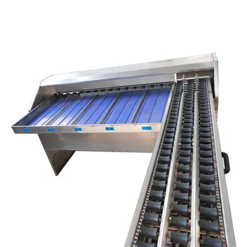 Washing Chicken Grader Egg Sorting Grading Machine - Buy Egg Washing ...