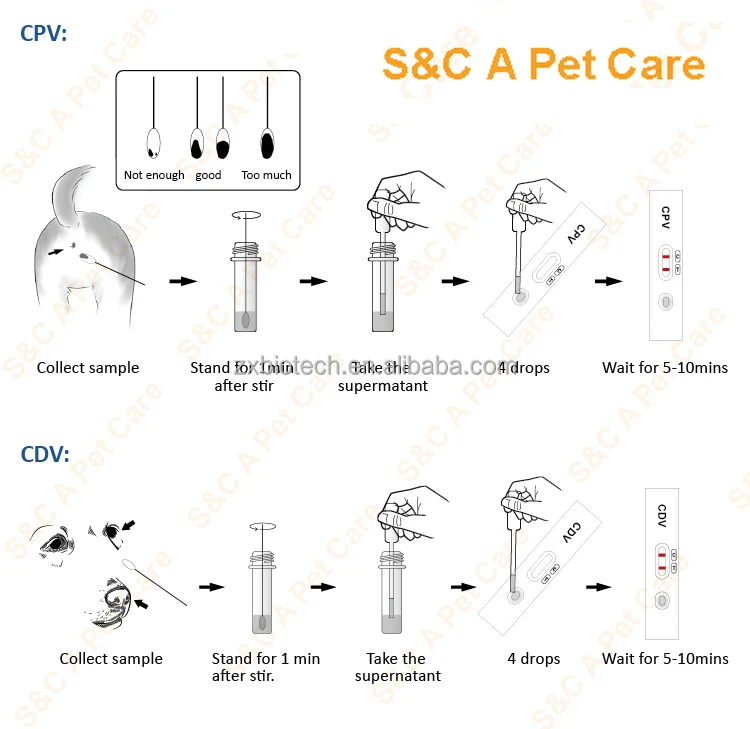 Veterinary Diagnostic Kit for Canine Parvovirus, CCV, Giardia ...