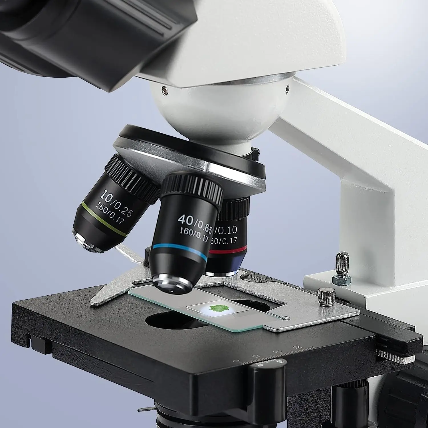 Lab Microscope Slide 25.4*76.2mm - Transparent & Frosted