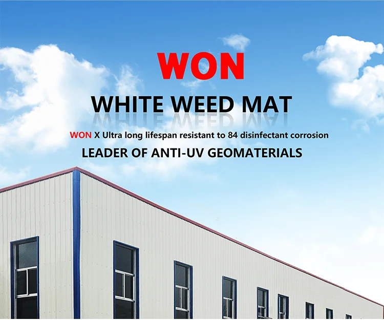 White Ground Cover Woven Agricultural Greenhouse Covers White Woven ...