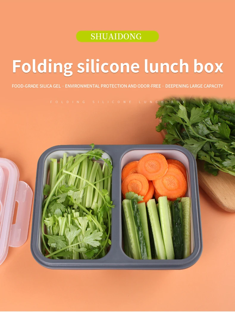 3 Compartment Bento Food Storage Lunch Boxes Folding Kids Collapsible ...