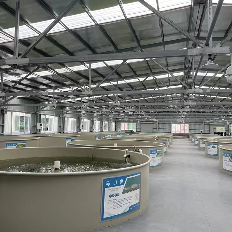 Customized Aquaculture Equipment for Efficient Fish Farming