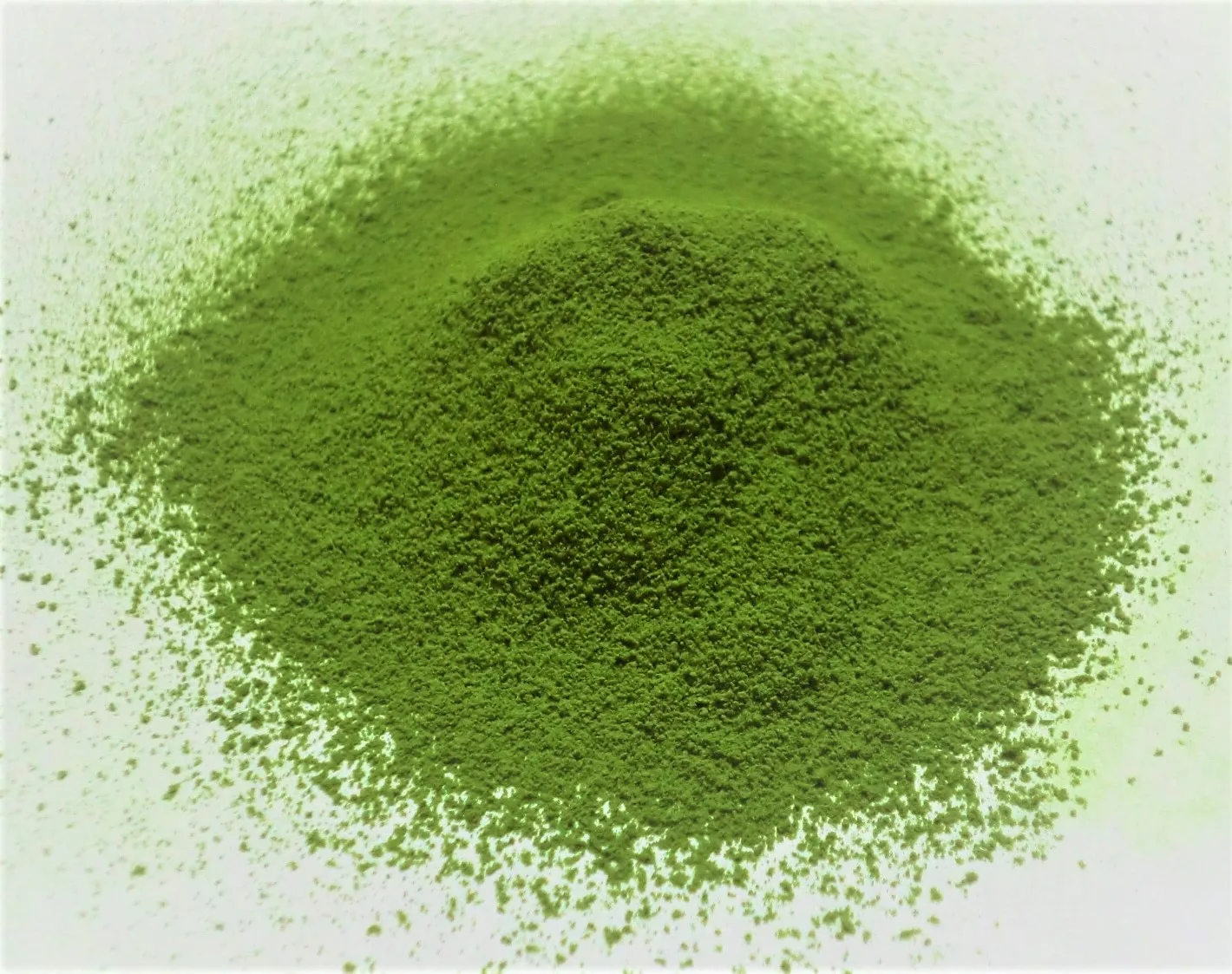 Wholesale Matcha For Confectionery 1kg Japanese Matcha Powder Japanese ...