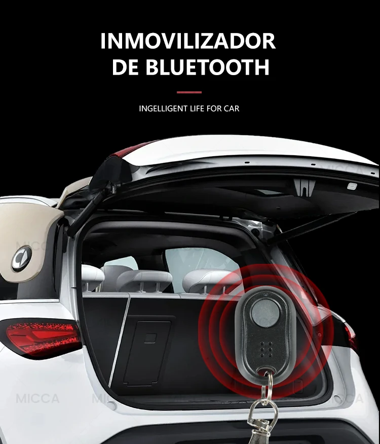 Car Immobilizer System Bypass Vibration - Secure Your Auto