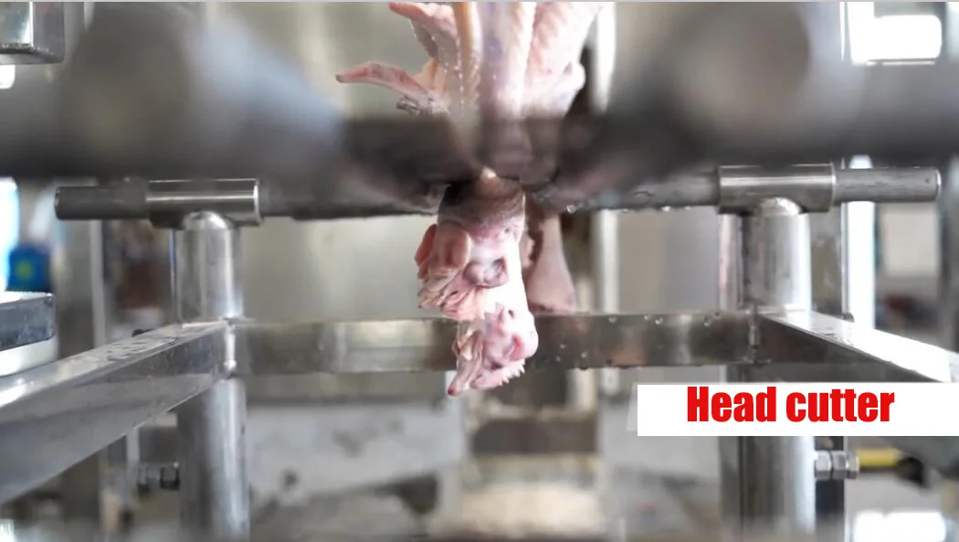 High Efficiency Chicken Slaughter Machine - XINBAIYUN