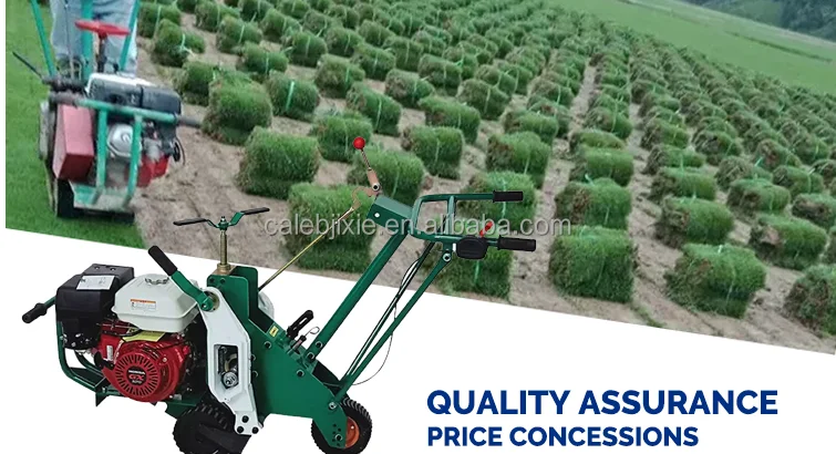 Best Selling Turf Cutter Hand Push Fashionable Sod Cutter/Hand Push ...