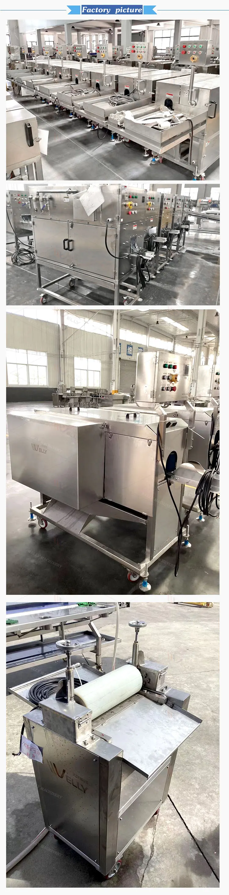 New Design Tilapia Halal Pangasius Salmon Drum Pomfret Parrot Basa Fish ...