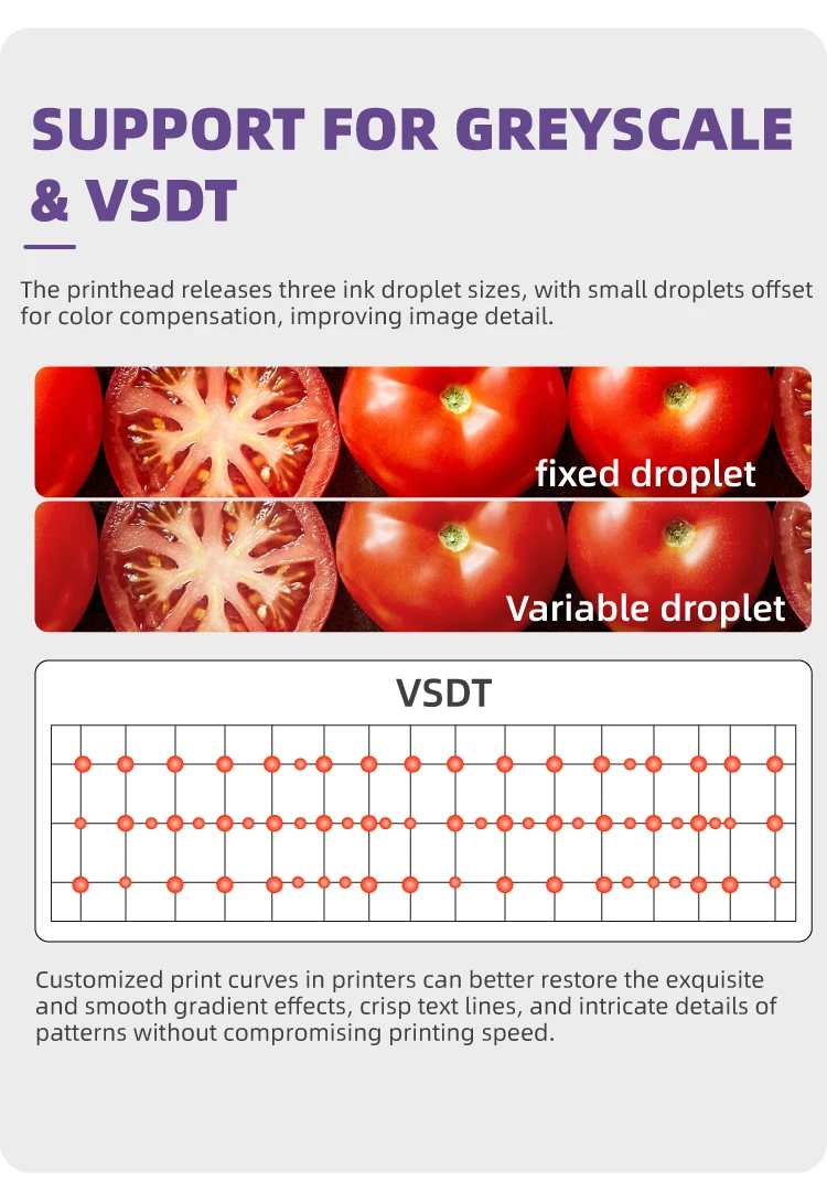 24 Inch Sublimation Printer with XP600 Head - Multifunctional
