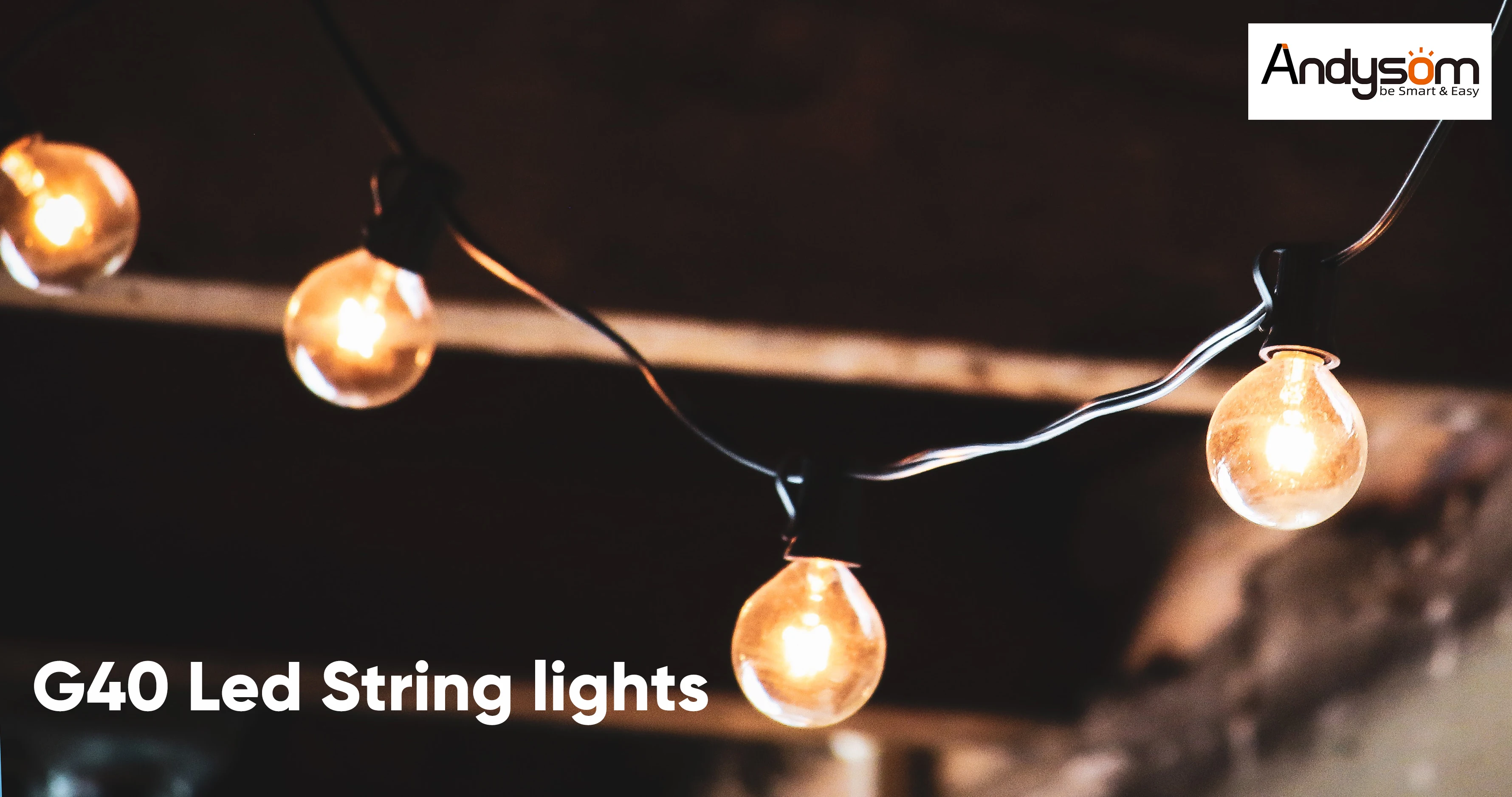 25FT 50FT 100FT G40 Globe LED Ferry String Lights for Outdoor Decor