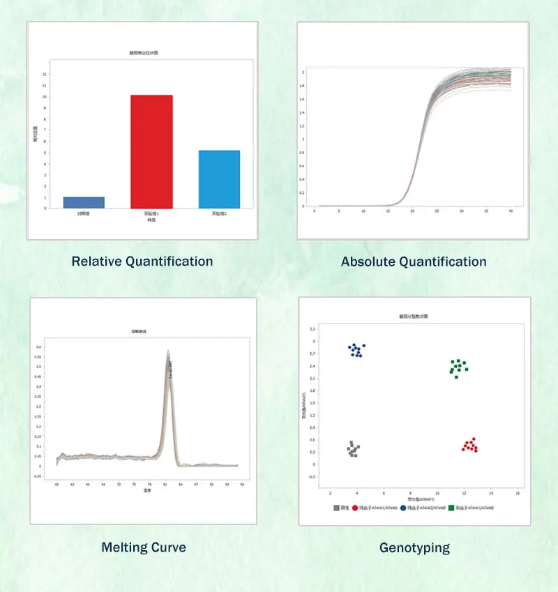 Wayeal Gt96 5 Channels Fluorescence Quantitative Real-time Pcr System ...