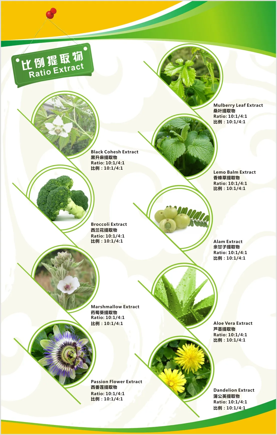 FSSC22000 GMP Certificate Factory Supply Citrus Aurantium Extract ...