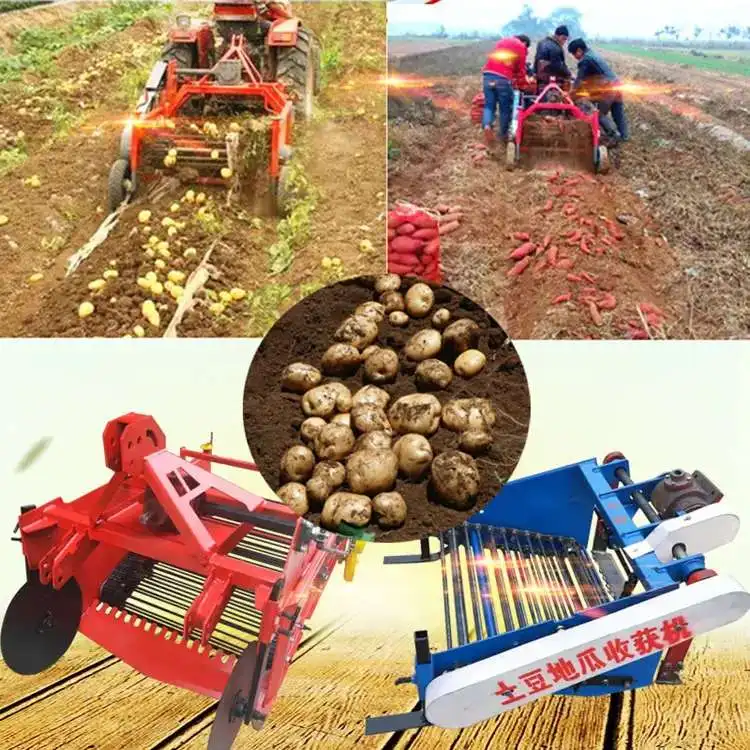 Tractor Mounted Potato Harvester Rock Picker - Buy Potato Harvester ...