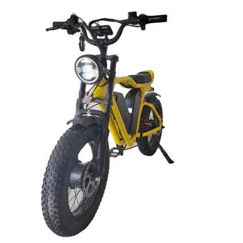 Dual Motors Dual Batteries Ebike 48v1000/1000w 22ah*2 Full Suspension ...
