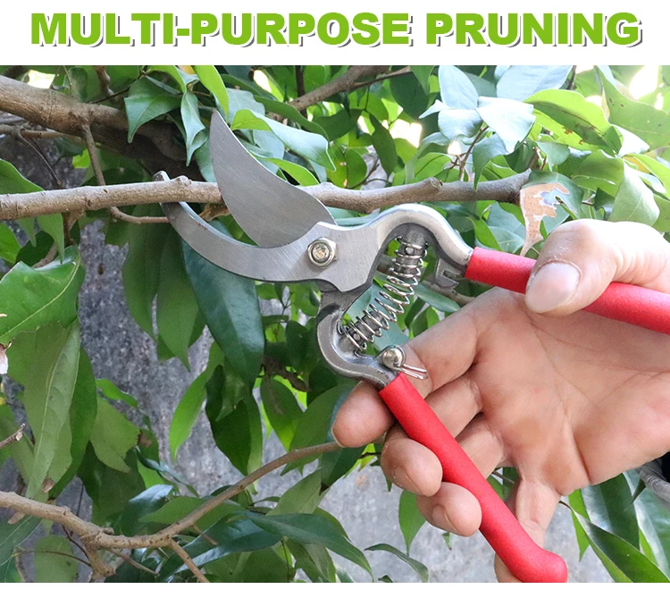 Sunshine Garden Tools Hand Pole Saw Cordless Tree Pruner Loppers Mini 8 ...