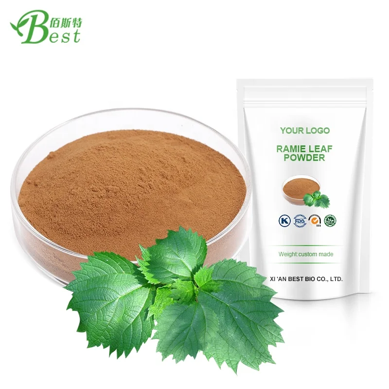 Herbal Ramie Leaf Extract/boehmeria Nivea Powder 20:1 - Buy Ramie Leaf ...