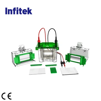 Infitek Gel Electrophoresis Electrophoresis System For Vertical ...