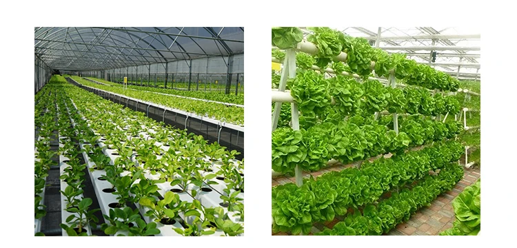 Indoor Hydroponic System - Customized Vertical Fodder Machine