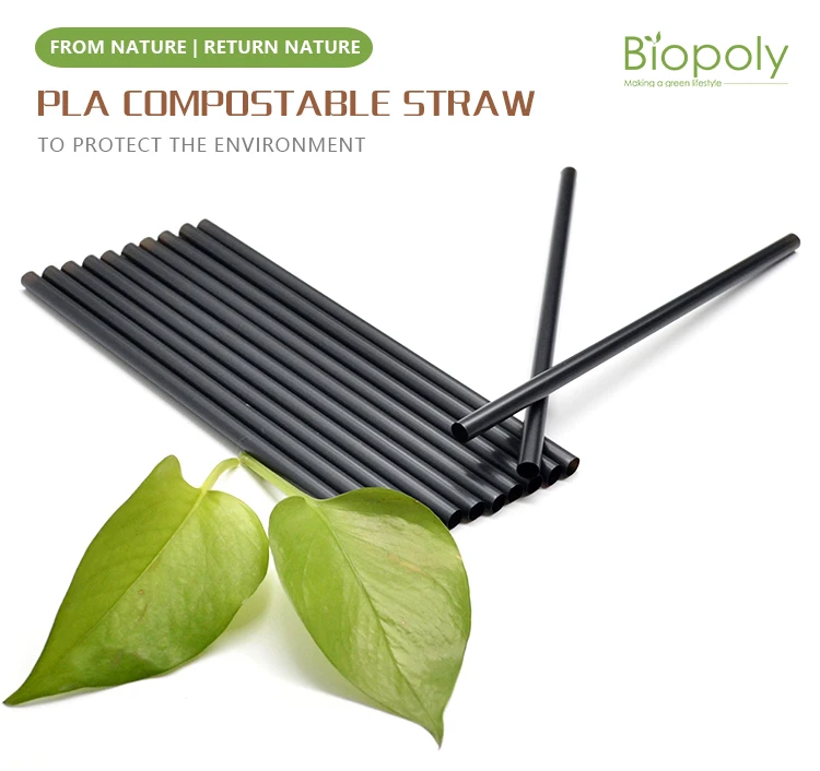 Biopoly 100% Biodegradable Compostable Plastic Pla Red Straight Straws ...