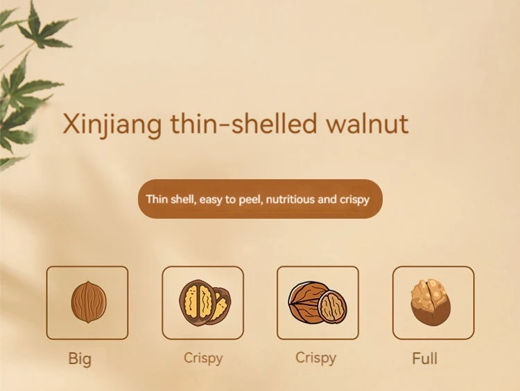 China Origin Wholesale Walnuts With Shell - Buy Walnuts With Shell ...