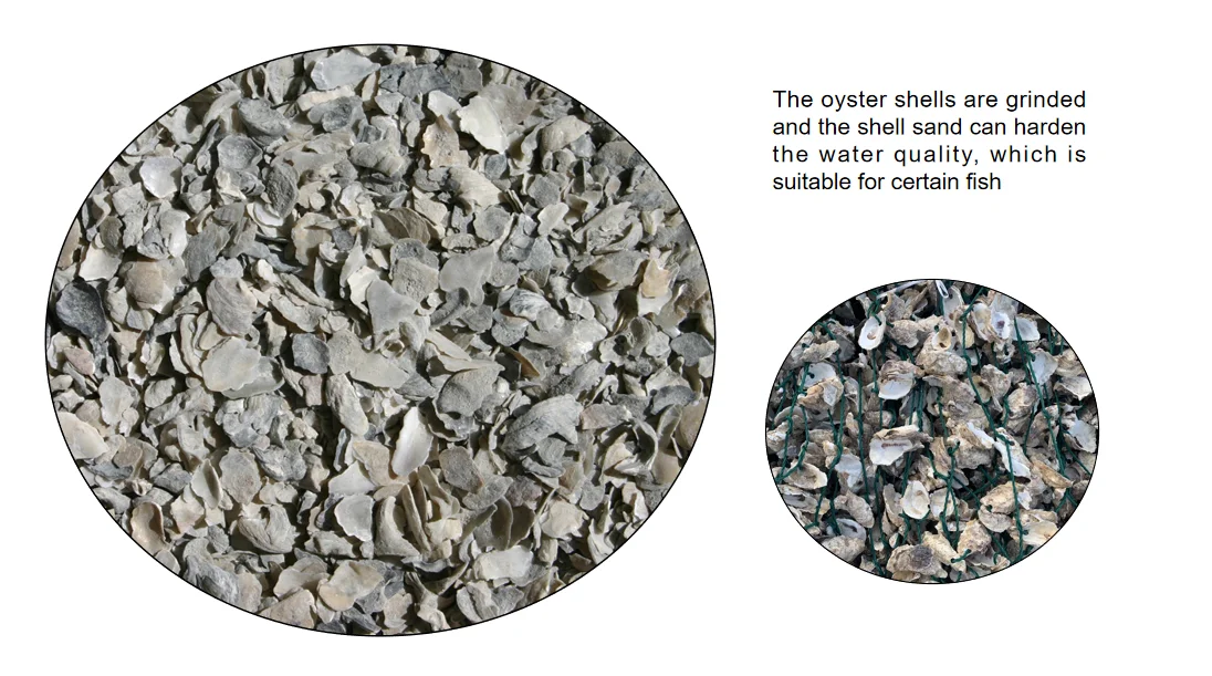 Cheap Natural Clean Up Material Seashell Filtration Oyster Shell - Buy ...