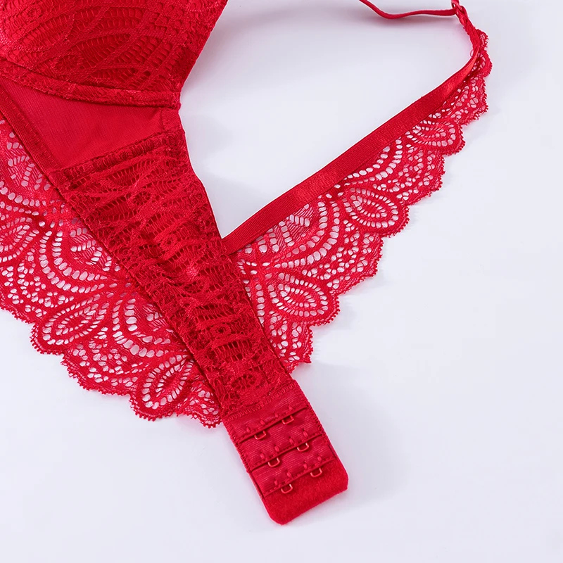 Oem/odm Holiday Galloon Lace Bra & Panties Set Push Up Bra And Mesh ...