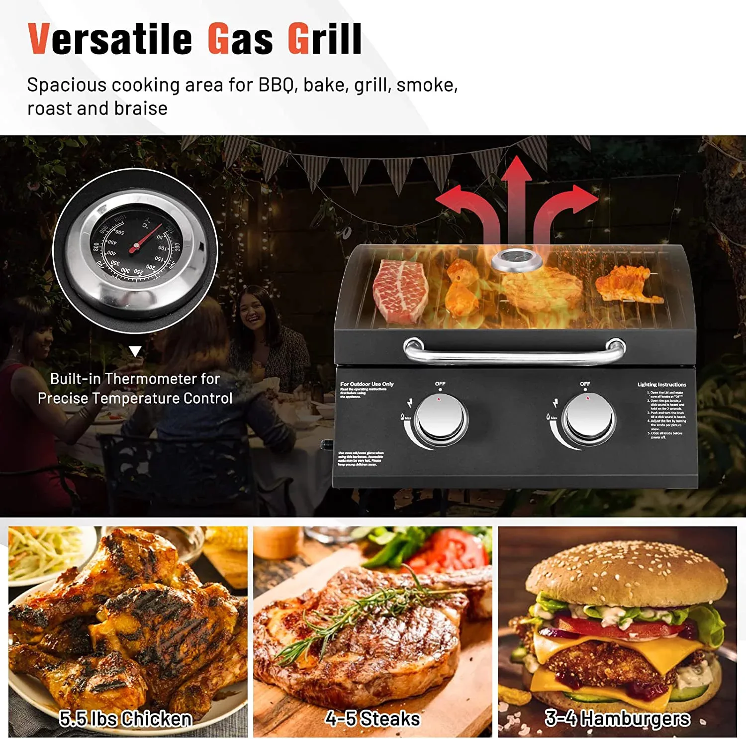 Patio Portable Double 2 Burner Propane Barbeque Grill Outdoor Camping ...