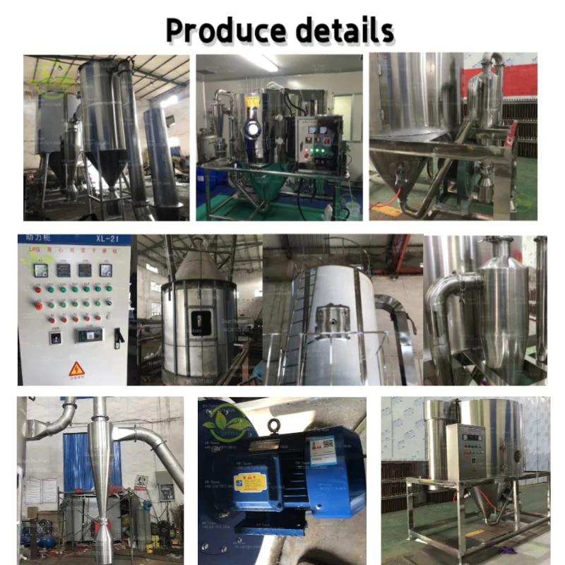 Fruit & Vegetable Mesh Belt Dryer - Efficient Drying Solutions