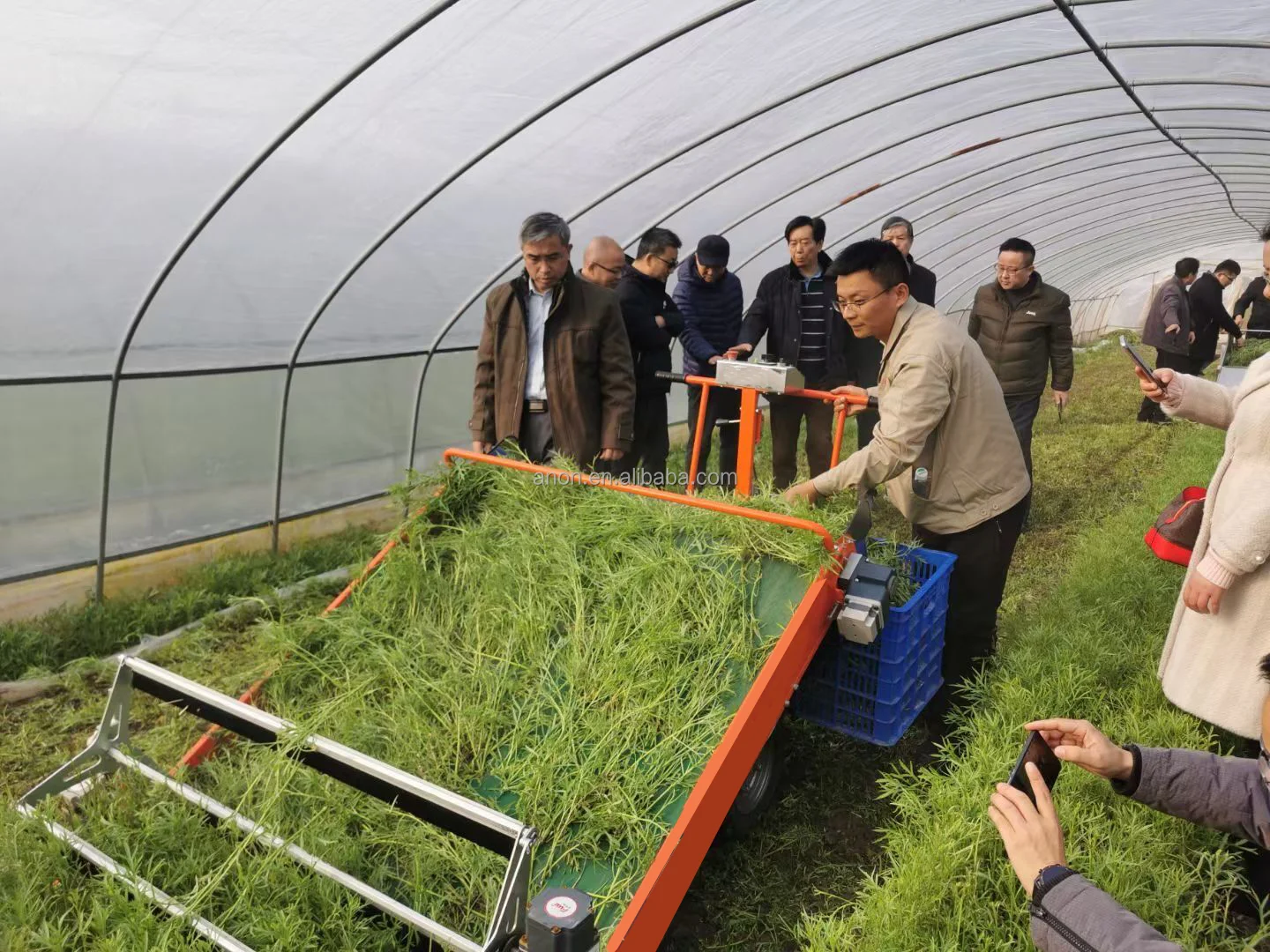 ANON Self-Propelled Vegetable Cutting & Harvesting Machine for Lettuce ...