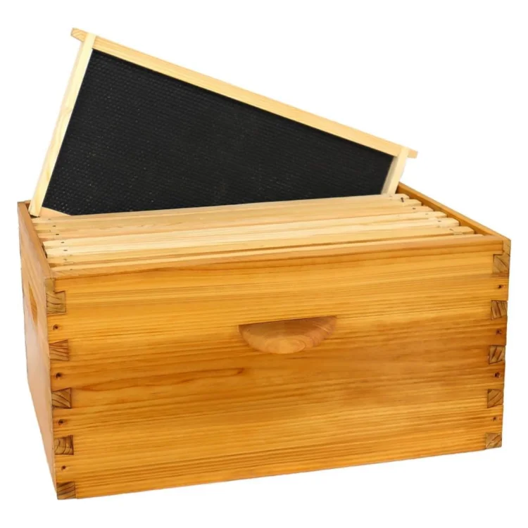 4 Layer Complete Langstroth Beehive Box 10 Frame Beeswax Coated Wooden ...