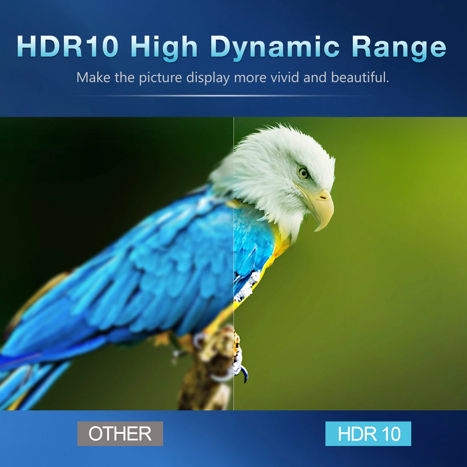 Q1 H313 2g 16g Atv Tv Box Android 10 Os 2.g/5g Dual Wifi B-t5.2 Quad ...