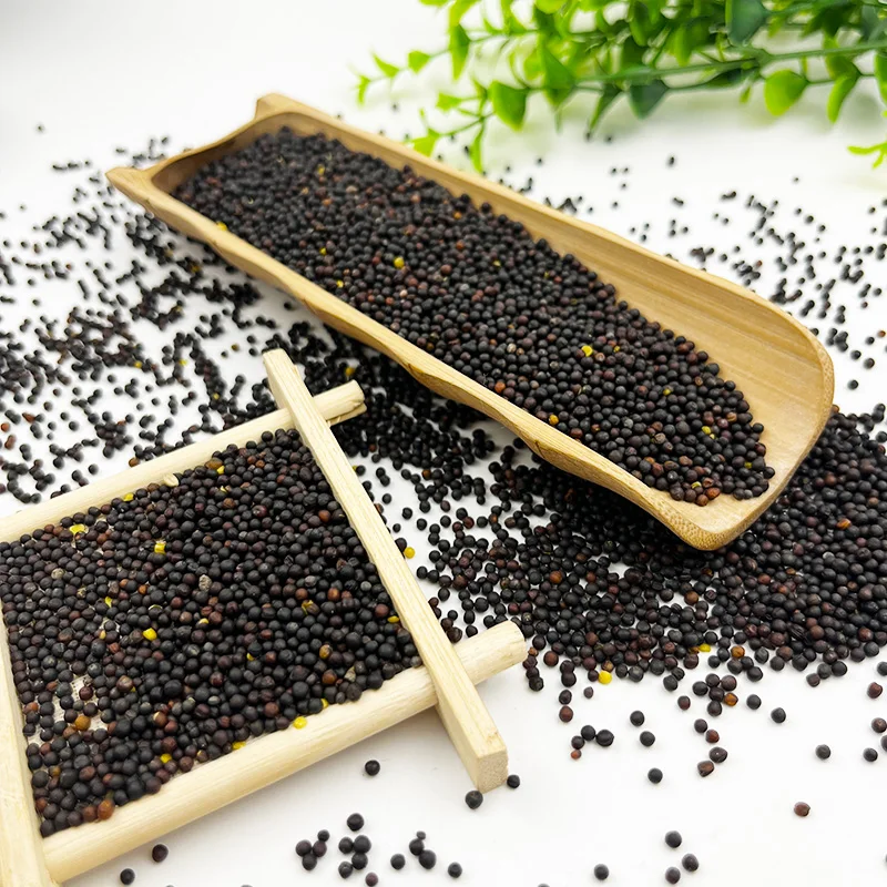 Wholesale High Purity Rape Seeds Canola Seed for Oil & Feed